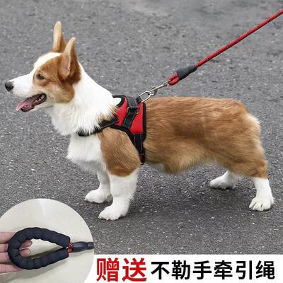 2019Dog leash medium large dogs walking harness collar chain