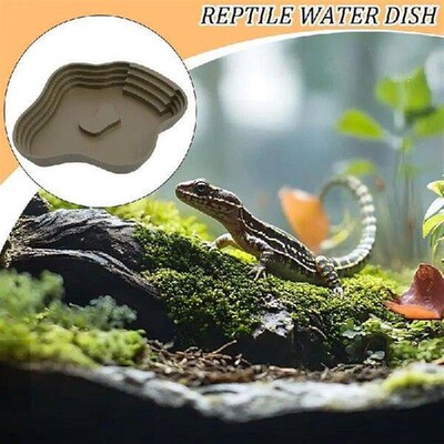Water Dish For Reptile Tank Tortoise Bathing Pool Reptile