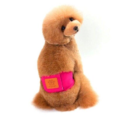 Washable Reusable Menstruation Diaper Briefs Nappy Pet