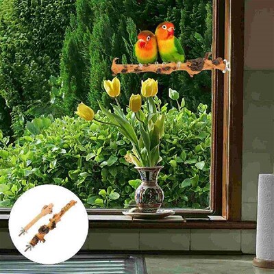 2 Pcs Parrot Chew Perches Bird Standing Stick Cage