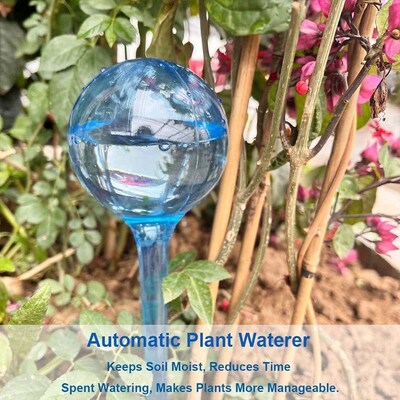 3Pcs Automatic Plant Watering Bulbs Water Cans Flowerpot Pla