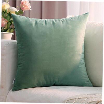Solid-colored throw pillows Pink Cushions velvet backrest