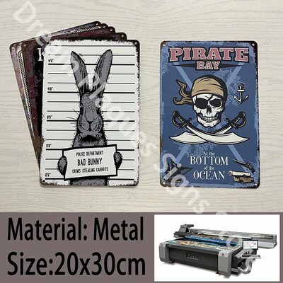 MINISO Super Mario Bowser Kart Metal Poster and Print Tin Si