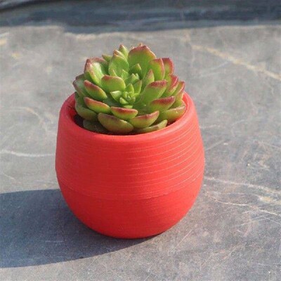 Small Green Plant Flowerpot Plastic Flowerpot 2023 Plant