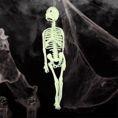 Mr. Bones Skeleton Realistic Key Chain Movable 20cm