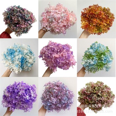 [eternal Flower Hydrangea] Anna Gradient Color Small Leaf Hy