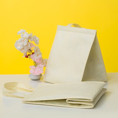 Portable Cake Preservation Bag Refrigerated Ice Pack Take-aw