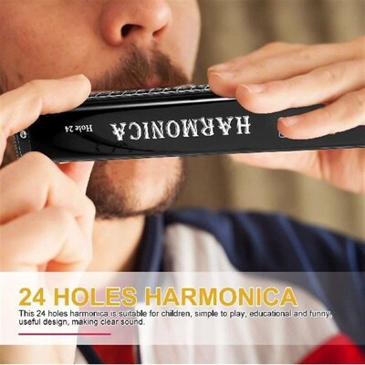Puzzle Harmonica Toddler Harmonicas for Adults Tambourine