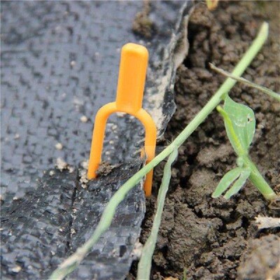 50PCS Strawberry Planting Fork Green Stolon Fixator