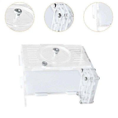 DIY ANT Farm Antkeeping Tool Emmet Farm Colony Educational