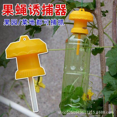 Wholesale fruit fly trap caps, to be used with fruit fly att