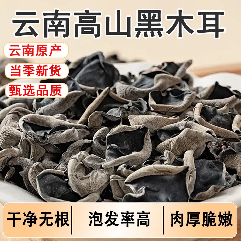 云南小木耳高山干货 黑木耳小碗耳凉拌秋木耳肉厚无根木耳脆爽耳