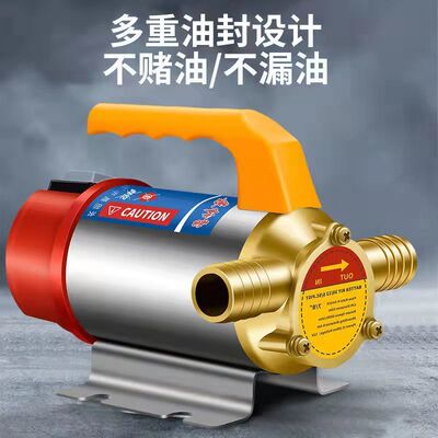 油水两用电动抽油泵12V24V220V伏直流高压水泵柴油泵加油机抽油器