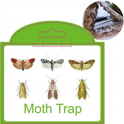 2 pcs Fly Insects Sticky Glue Trap Moth Pheromone Trap