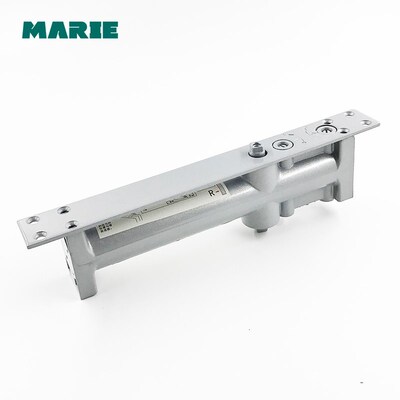 Marie Concealed Door Closer Hydraulic Buffer Automatic Sprin