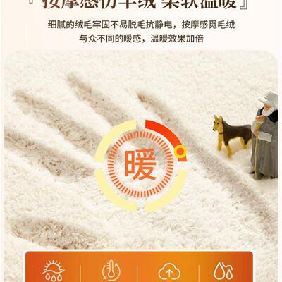 carpets rug home carpet living room mat floor rugs 客厅地毯