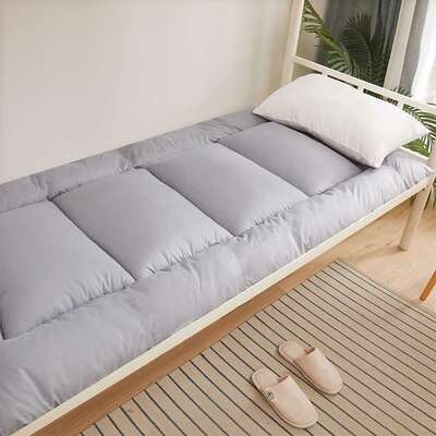 Mattess Dormitory Soft Mattess Homestay Mattess Thin Dual-us