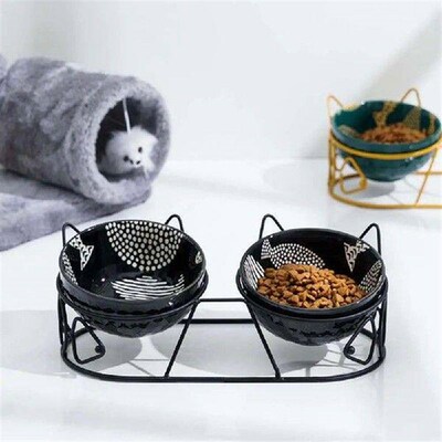 Feeder Drinker Oblique Mouth For Dog Cat Elevated Dishes