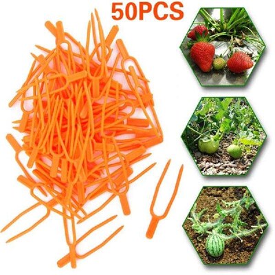 50PCS Strawberry Planting Fork Green Stolon Fixator