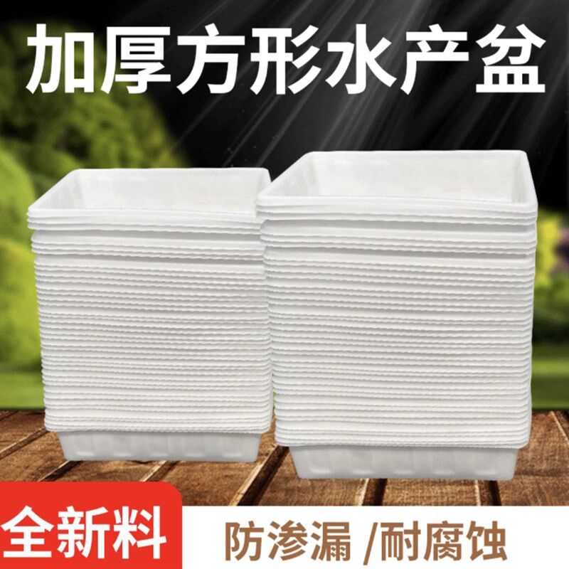 食品级牛筋塑料水箱养殖箱养鱼养龟盆浅箱长方形水产海货耐酸碱