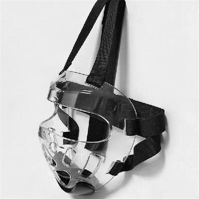Taekwondo Face Shield Taekwondo Protection Clear Detachable