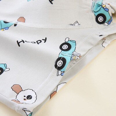 9758# boys 3 lunch box underwear children 95 cotton breathab