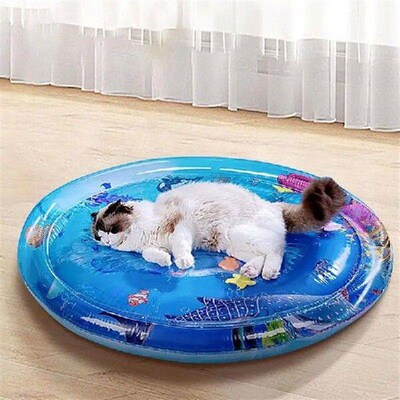 Water Sensory Play Mat Inflatable Water Mat For Cat And Dog