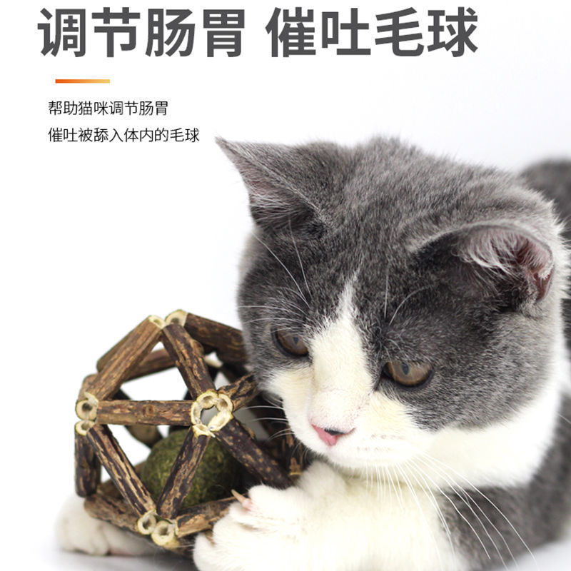 宠物猫咪玩具用品木天蓼玲珑球洁牙解闷自嗨逗猫球铃铛猫薄荷木质