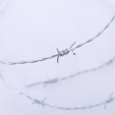 加密刺绳铁丝网铁蒺藜围墙防爬刺线防盗铁刺网圈地防贼墙上带刺网