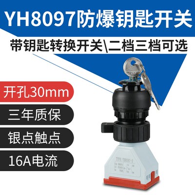YH8097防爆带钥匙转换开关防腐控制二档三档旋钮带锁旋转自锁开关