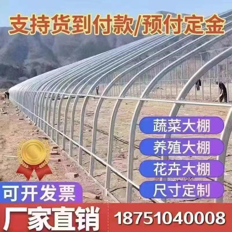 大棚钢管骨架椭圆管肩并肩温室花卉种植养殖