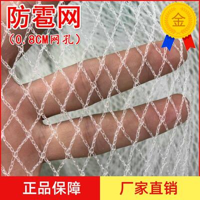 果园防鸟防雹网白色综丝尼龙网网泥鳅养殖葡萄果树樱桃鱼线网爆款