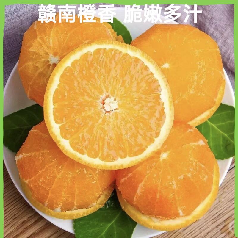 赣南脐橙 橙子新鲜水果当季整箱10斤 橙子礼盒装 正宗产地直发