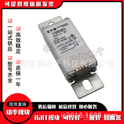 170M1792 170M1793 170M1794 170M1795巴斯曼熔断器170M1796