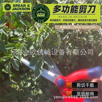 英国SPEAR&JACKSON园艺修枝剪多功能4152GS树枝剪刀采摘修花