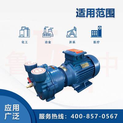 2BV5111系列真空泵博山真空泵厂家高真空度铸铁不锈钢材质