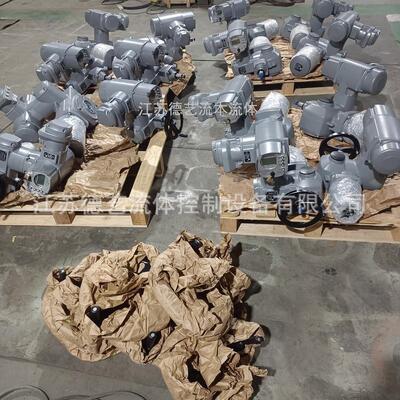 VD00071-2-0-0.25；SAREx07.6/ACEXC01.2；SAEX10.2；AUMA奥玛