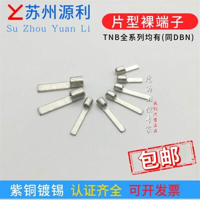 YL苏州源利片形裸端子DBN/TNB1.25-9/14.5/18 2-16 5.5-10 紫铜