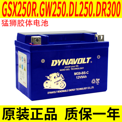 适用铃木骊驰GW250F/S DL250 GSX250R DR300猛狮电瓶YTX9-BS电池