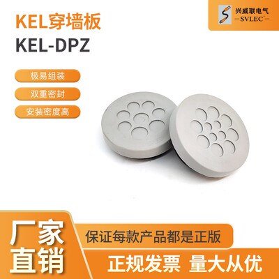 SVLEC厂家直销KEL-DPZ 圆形穿芯模块 电缆引入系统 带螺纹底板