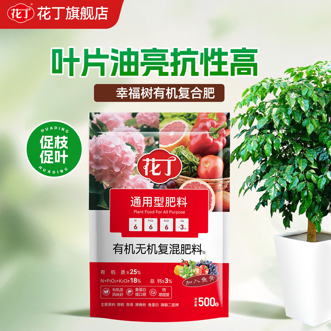 花丁幸福树专用肥料有机肥复合肥有机无机复混肥料
