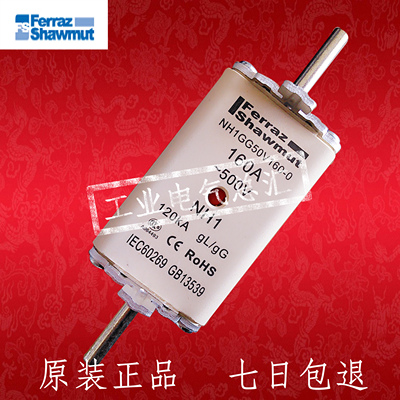 法国ferraz shawmut罗兰法雷熔断器保险NH1GG50V160  500V 160A
