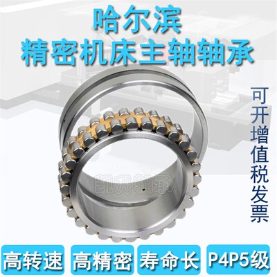 哈尔滨轴承 NN3005 3006 3007 3008 3009 3010 3011 3012 3013KP4