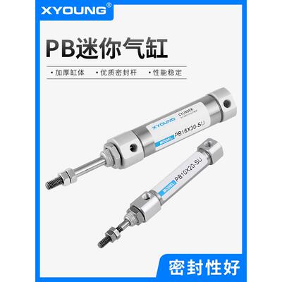 XYOUNG气动PB12X50-SU不锈钢迷你气缸PB12X25-SR带磁平尾迷你气缸