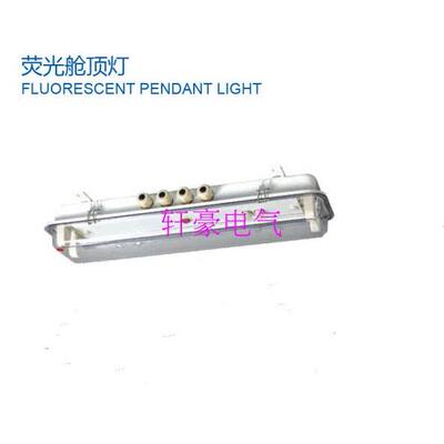 厂家直销 船用荧光灯20W JCY24-2E荧光舱顶灯 带应急