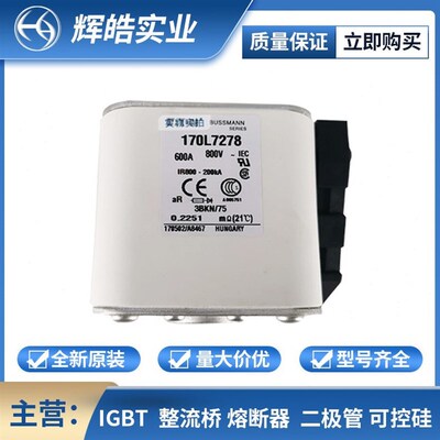 精品170M7058/170M7059低压快速断熔断器 电子元器件 辉皓实业