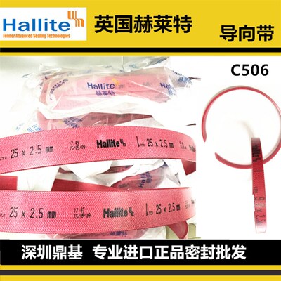 进口HALLITE赫莱特H506耐磨带C506支撑指向环9.7 10 15 20 25*2.5