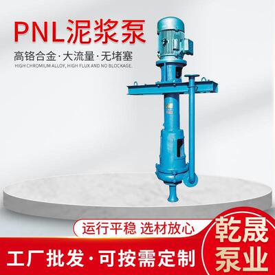 PNL泥浆泵立式杂质泵河塘清淤泵单级家用加长泵排污泥浆泵