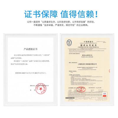 亮舟船用灯管式LED双管荧光舱顶灯ZYC/LZYC22-2E/2EF应急网罩CCS
