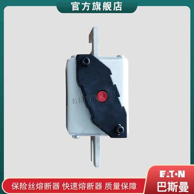 170M5249 5250 6458 6459 6460 巴斯曼bussmann快速熔断器保险丝